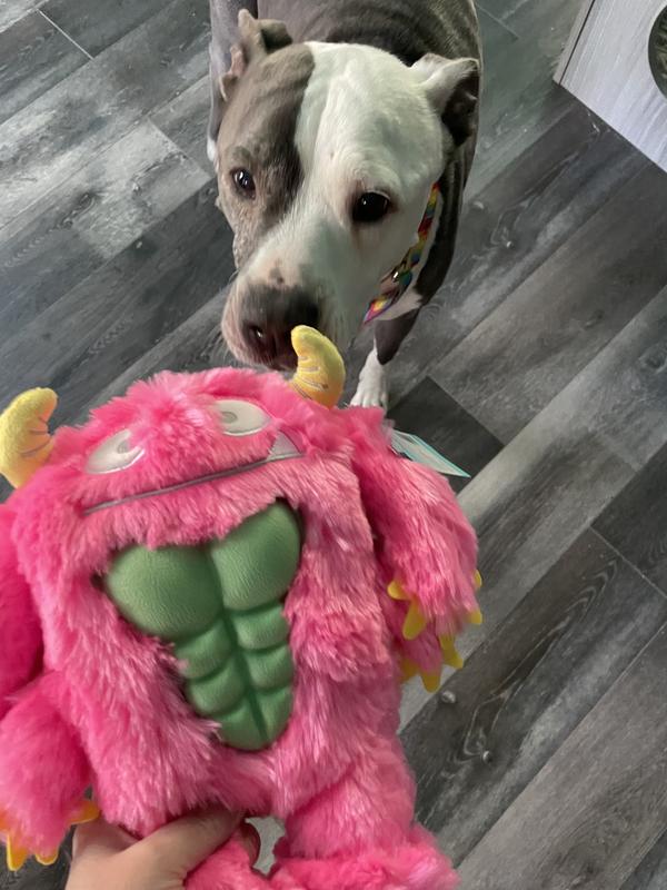 FRISCO Halloween Zany Monster Muscle Plush Squeaky Dog Toy, Medium ...