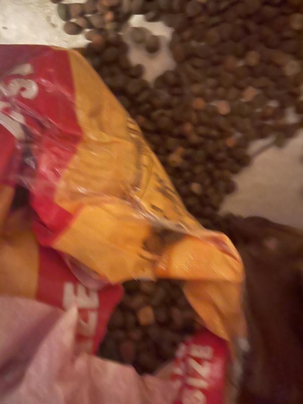 PEDIGREE Complete Nutrition Roasted Chicken & Vegetable Flavor Dog ...