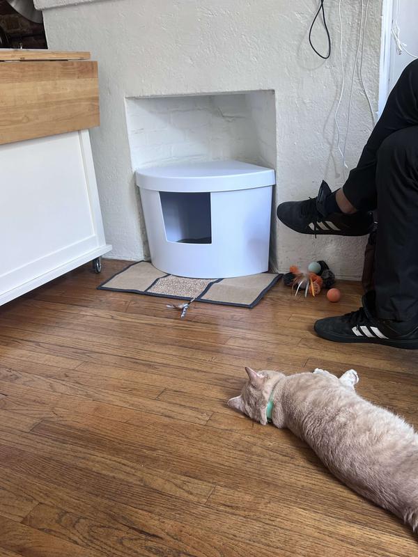 KITANGLE Corner Kitty Cat Litter Box, Large, White - Chewy.com