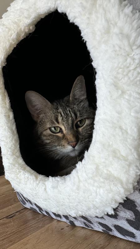 PET ADOBE Cat House - Chewy.com