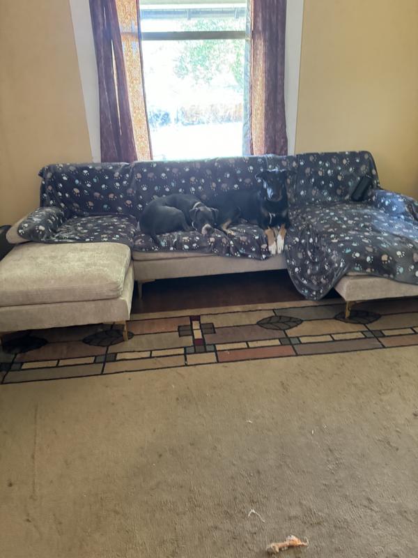 ALLISANDRO Microplush Fleece Polyester Dog & Cat Blanket, Grey Paw ...