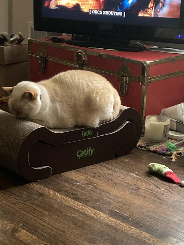 BEST PET SUPPLIES Catify Lounger Cardboard Catnip Scratcher Cat Toy ...