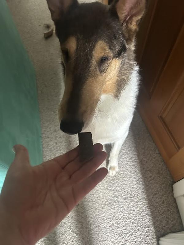 EARTH ANIMAL Wisdom Air-Dried From the Sea Recipe with Catfish, Clams ...