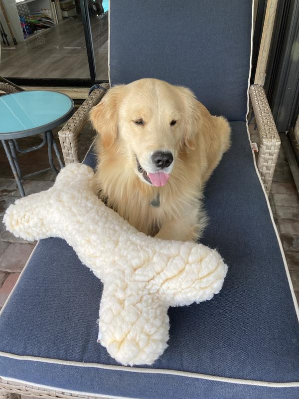 HUGGLEHOUNDS Huggle Fleece Bone Dog Toy, X-Large - Chewy.com