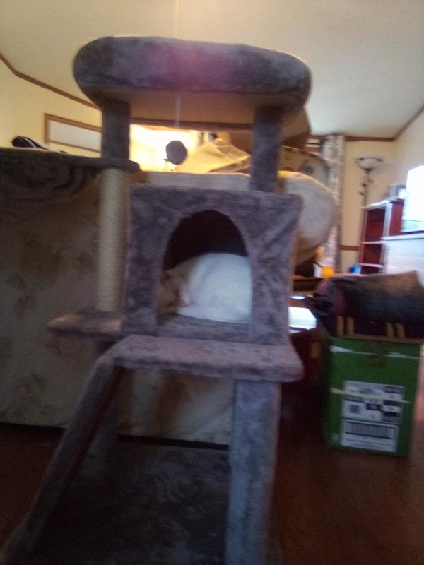 TRIXIE Pepito Cat Tree, Gray - Chewy.com