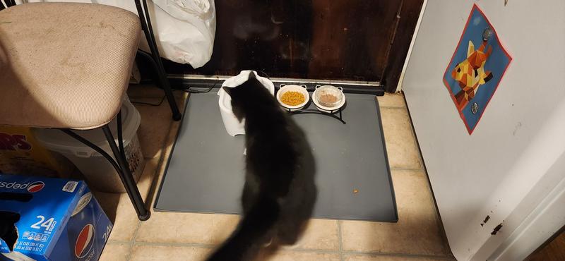 LEASHBOSS Splash Tall Lip Dog Food Mat, Beige, Medium/Large - Chewy.com