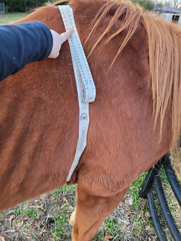 NUTRENA Empower Boost Horse Supplement, 40-lb bag - Chewy.com