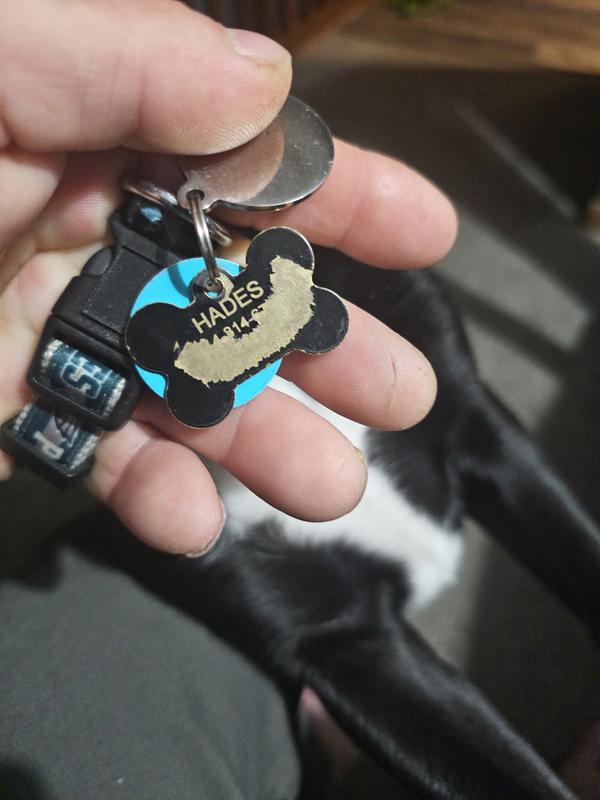 QUICK-TAG NFL Bone Personalized Dog ID Tag, Large, Philadelphia Eagles ...
