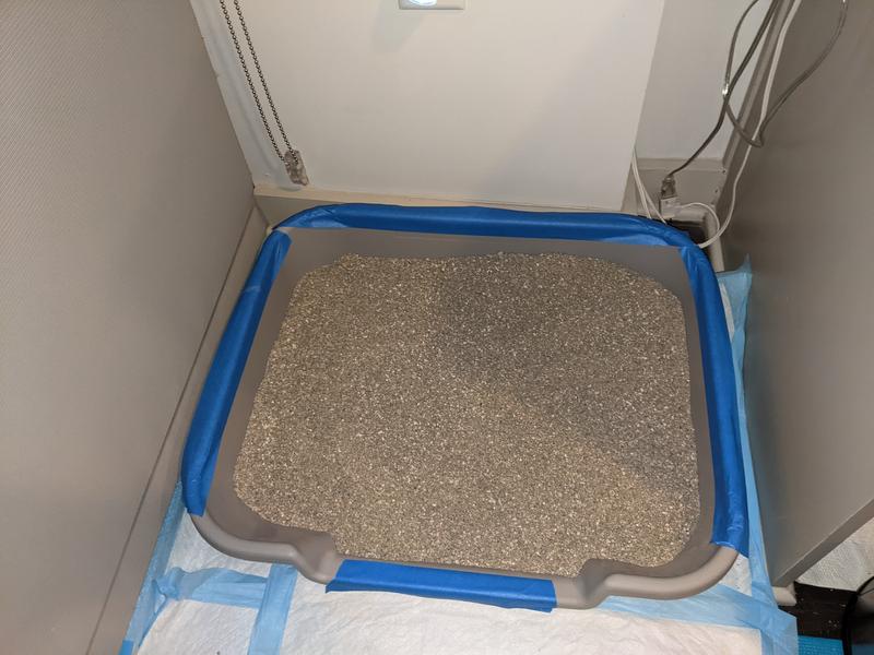 PUPPY PAN Dog, Cat & Small Animal Litter Pan, Large, Black - Chewy.com