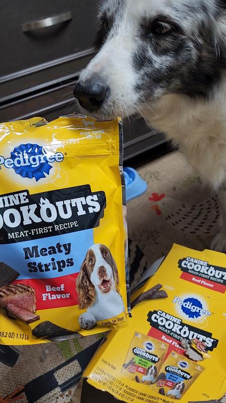 Discontinued - PEDIGREE Canine Cookout Beef Flavored High-Protein Adult ...