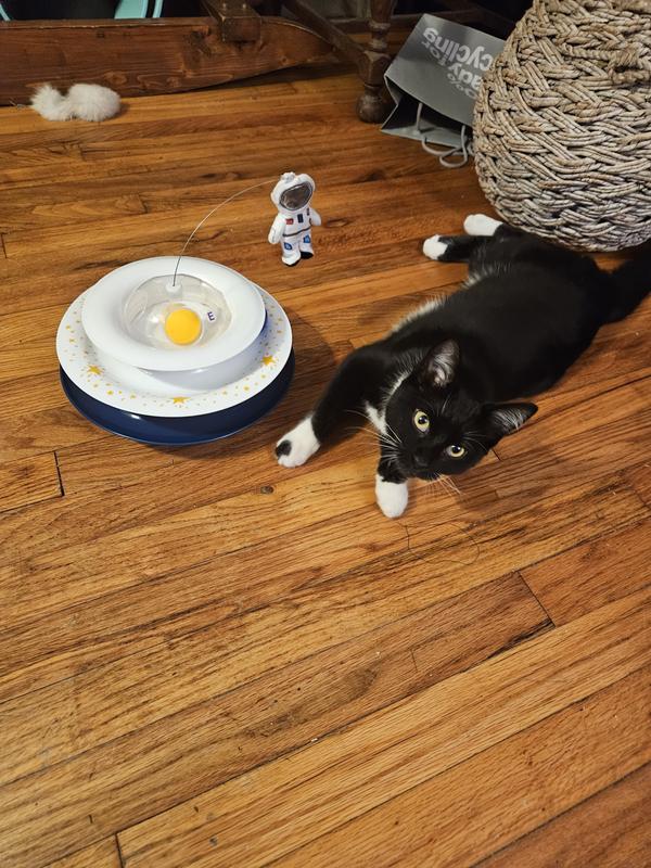FRISCO Astronaut in Space Wobble & Spin Cat Tracks Cat Toy with Catnip ...