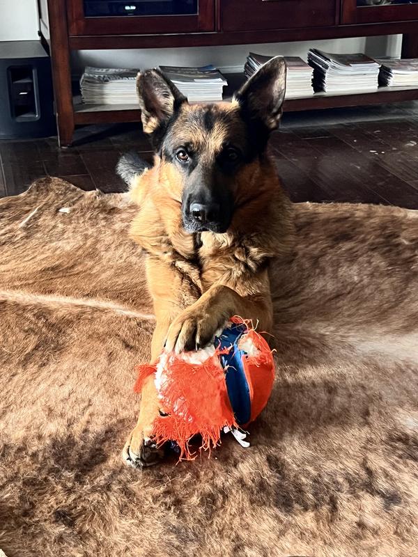 CHUCKIT! Kick Fetch Ball Dog Toy, Small - Chewy.com