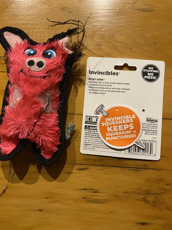OUTWARD HOUND Invincibles Minis Squeaky Stuffing-Free Plush Dog Toy ...