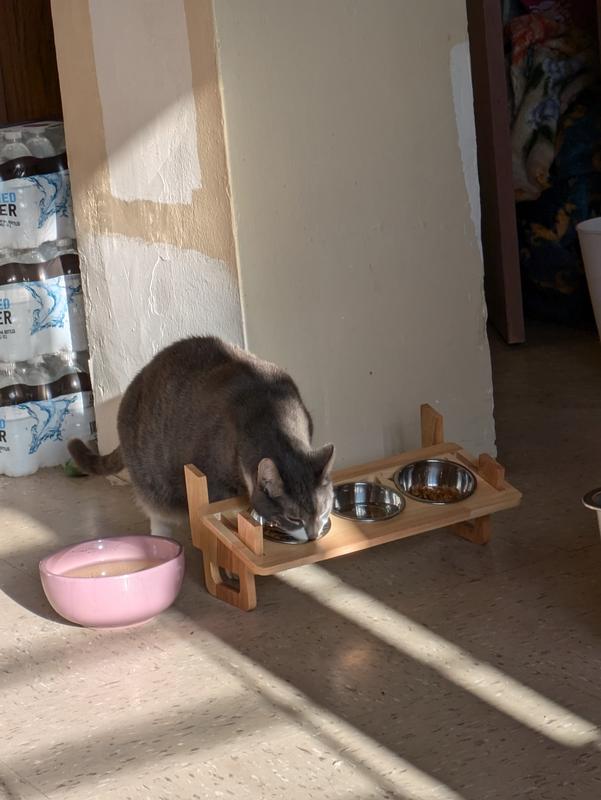 PRODEN PlaqueOff Soft Chews Cat Treat, 45 count - Chewy.com