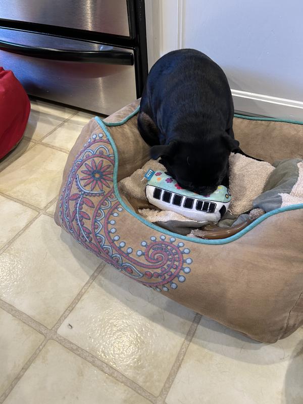 BARK Lucy's Magic Bus Squeaky Plush Dog Chew Toy, Small/Medium - Chewy.com