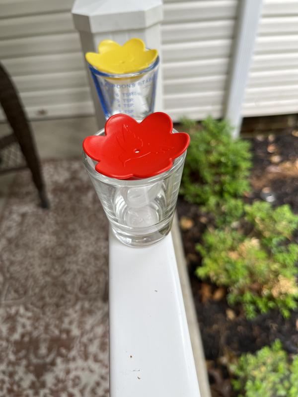 ZUMMR Hummingbird Ring Bird Feeder, 2 count - Chewy.com