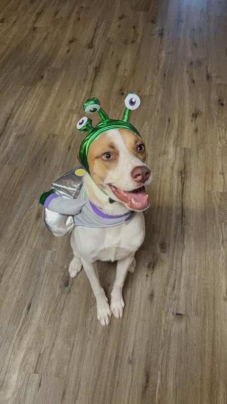 Temporarily Unavailable - FRISCO Front Walking Alien Dog & Cat Costume ...