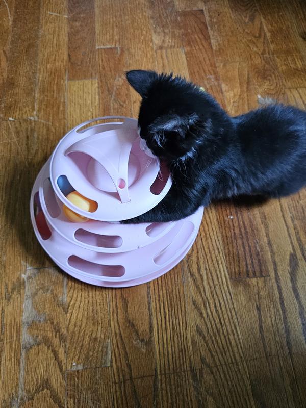 SUNGROW Interactive Self Play Entertainment Indoor Exercise Ball Track ...