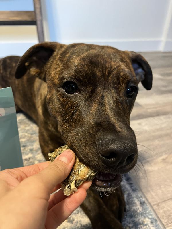 CANINE CRAVERS Crispy Cod Skins Dehydrated Dog Treats, 4-oz pouch ...