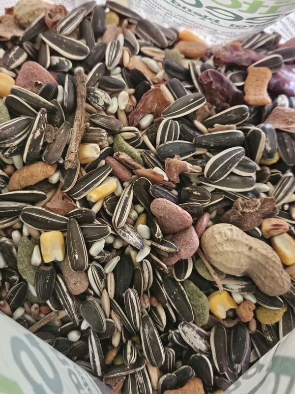 HIGGINS Vita Seed Parrot Food, 25-lb - Chewy.com