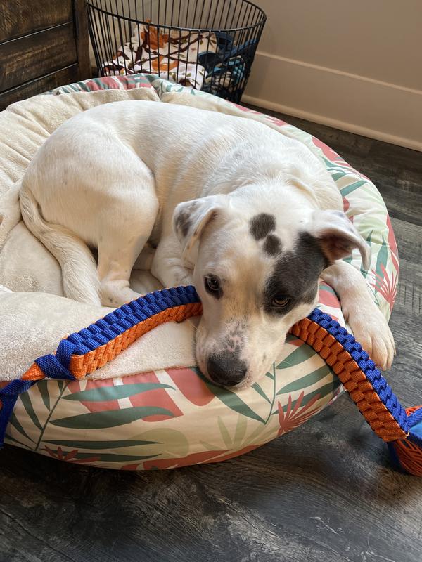 NERF DOG Force Grip Vortex Chain Tug Dog Toy, 30-in - Chewy.com