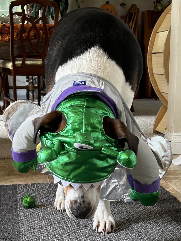 Temporarily Unavailable - FRISCO Front Walking Alien Dog & Cat Costume ...