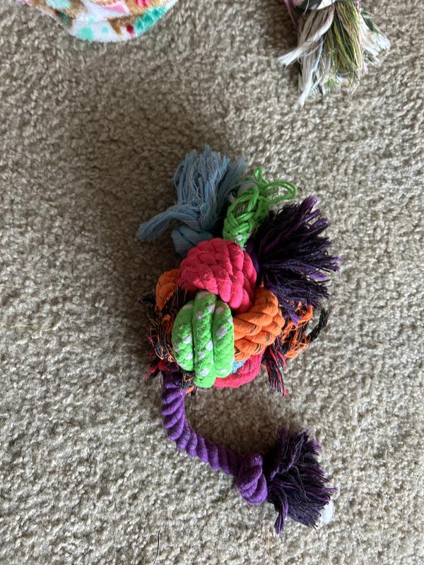 FRISCO Fetch Colorful Ball Knot Rope Dog Toy, Medium/Large - Chewy.com