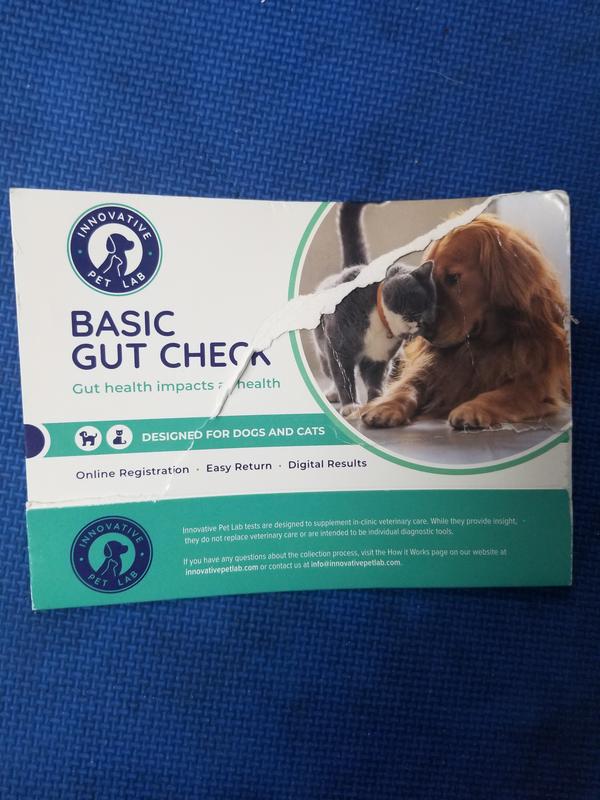 INNOVATIVE PET LAB Basic Dog & Cat Gut Check Kit - Chewy.com