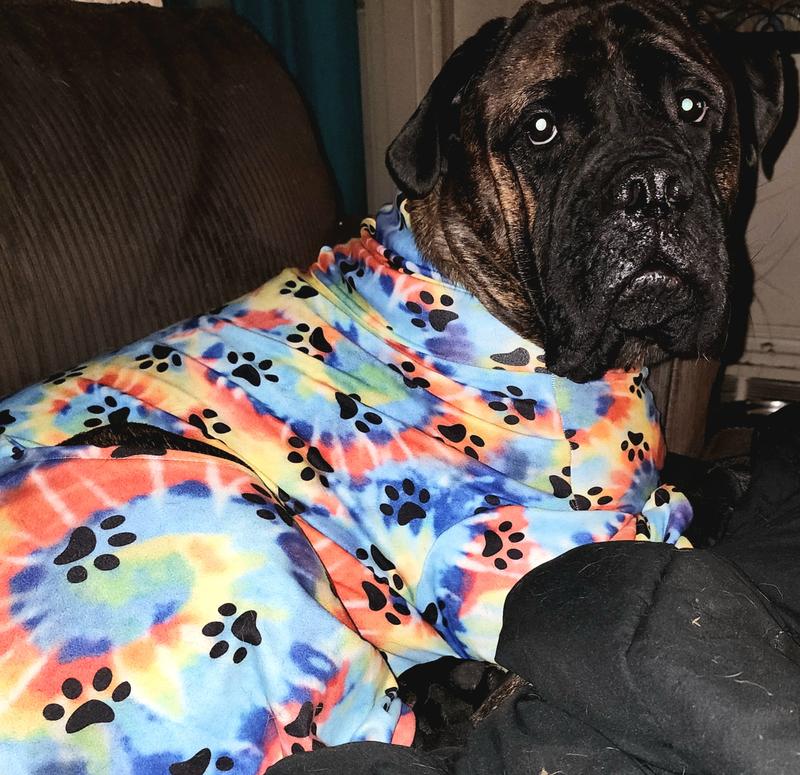 FORTICEPT Yeast Ear Infection & Itch Relief Cat & Dog Ear Wash Cleaner ...