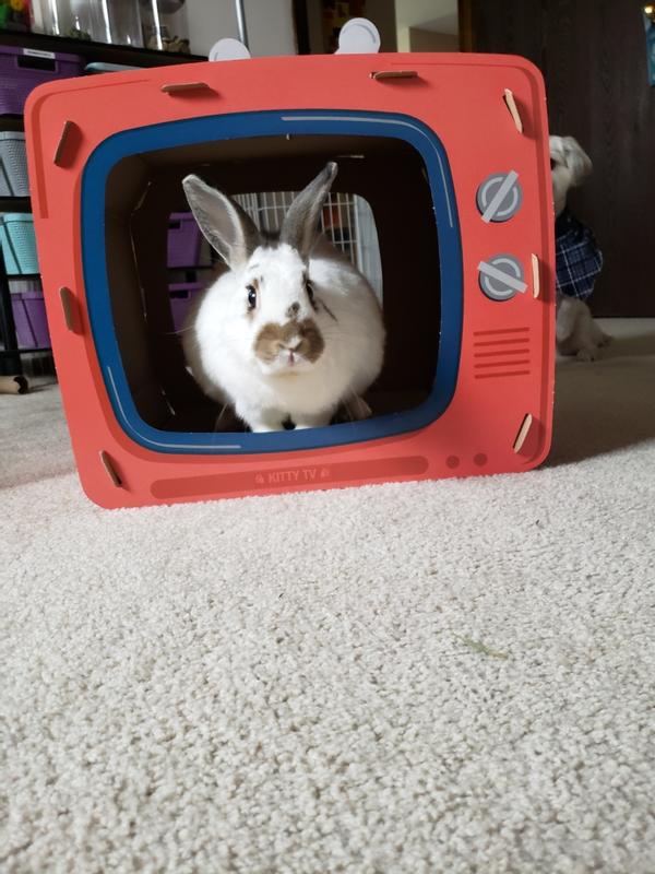 FRISCO TV Set Cardboard Cat House - Chewy.com