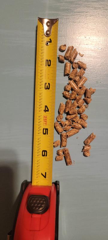 CATALYST PET Pine Pellet Unscented Non-Clumping Wood Cat Litter, 20-lb ...