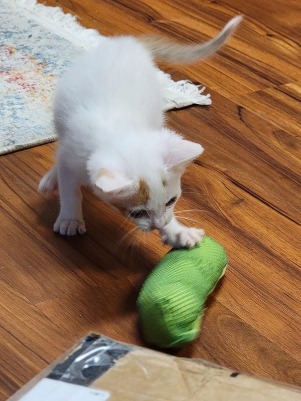 CATSTAGES Crunchy Pickle Kicker Plush Cat Toy with Catnip - Chewy.com