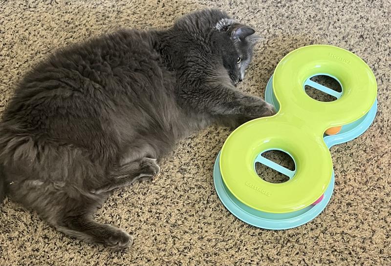 CATSTAGES Infinity Ball Track Including One Light-Up Ball, Figure-8 ...