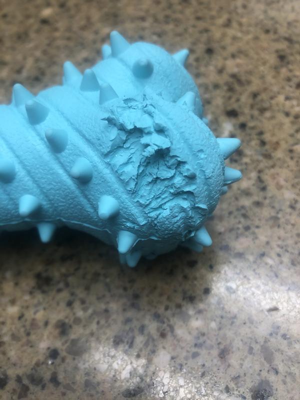 PLAYOLOGY Puppy Teething Bone Peanut Butter Dog Toy, Blue, Large, 2 ...