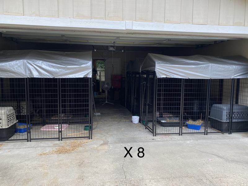 KENNELMASTER Vinyl Coated Welded Wire Boxed Dog Kennel, Black, 8-ft x 4 ...