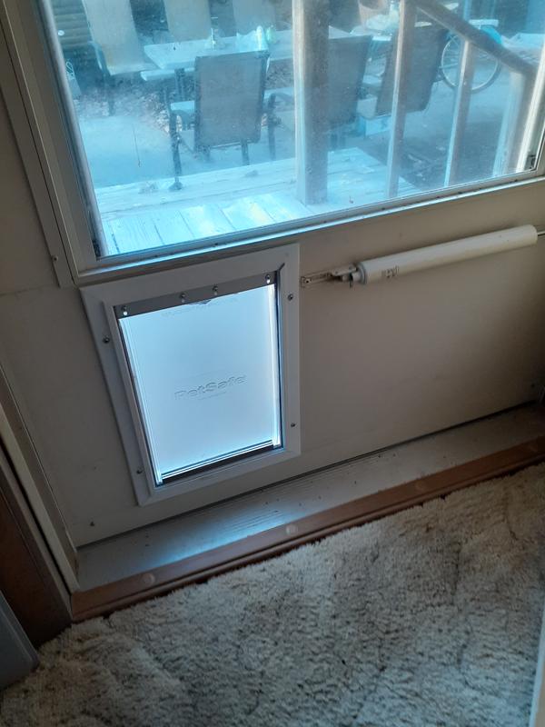 PETSAFE Freedom Aluminum Pet Door, Small - Chewy.com