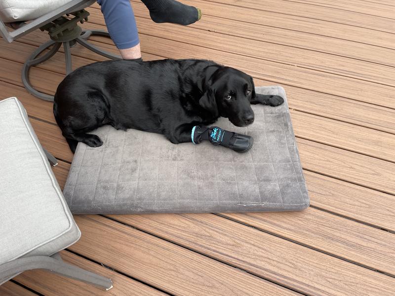 MEDIPAW Rugged Dog & Cat Protective Boot, Small - Chewy.com