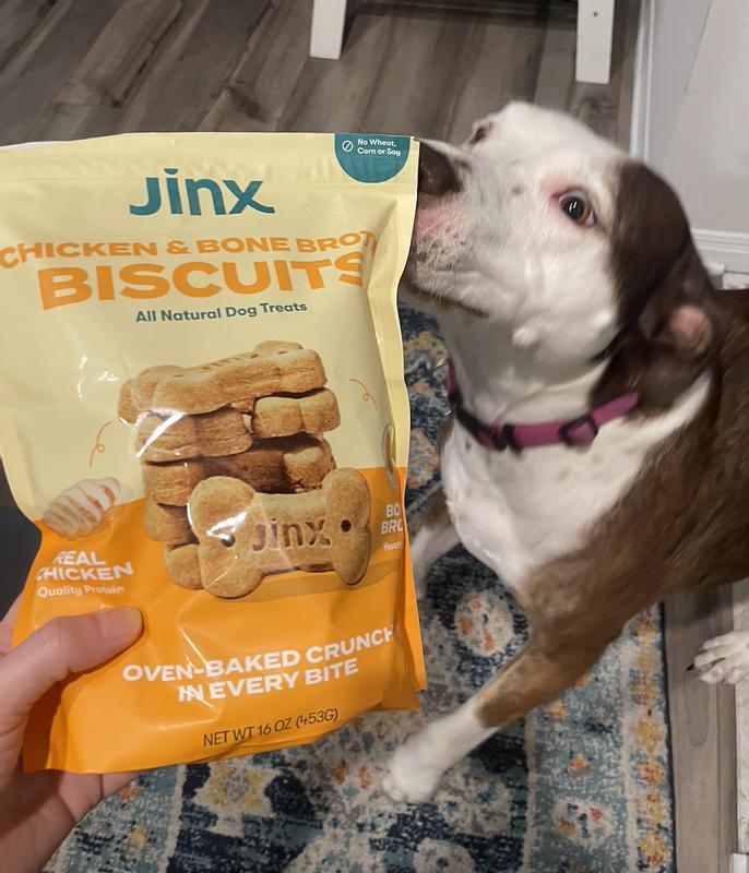 JINX Chicken & Bone Broth Biscuits Crunchy Dog Treats, 16-oz bag ...
