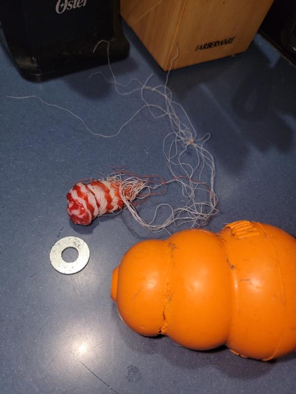 KONG Aqua Dog Toy, Medium - Chewy.com