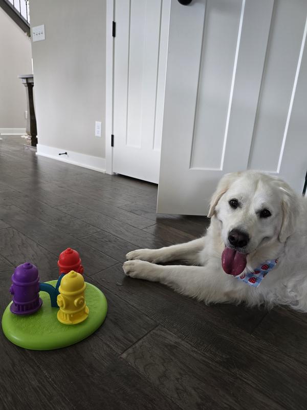 BRIGHTKINS Spinning Hydrants Treat Puzzle Dog Toy - Chewy.com