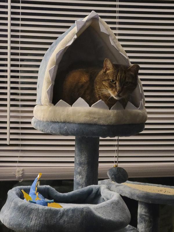 YAHEETECH Ocean-Themed Multi-Level Cat Tree, 72.5-in - Chewy.com