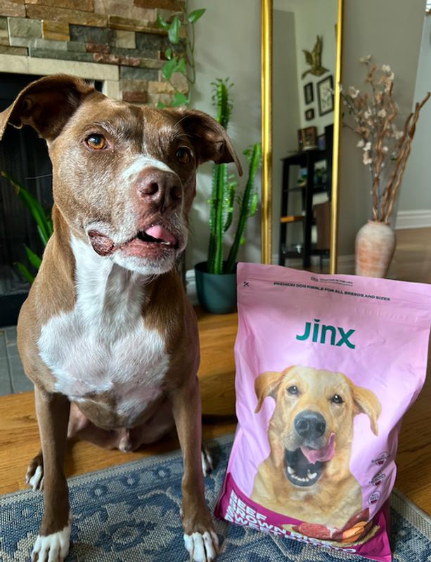 JINX Beef, Brown Rice & Sweet Potato ALS Kibble Dog Dry Food, 23.5-lb ...