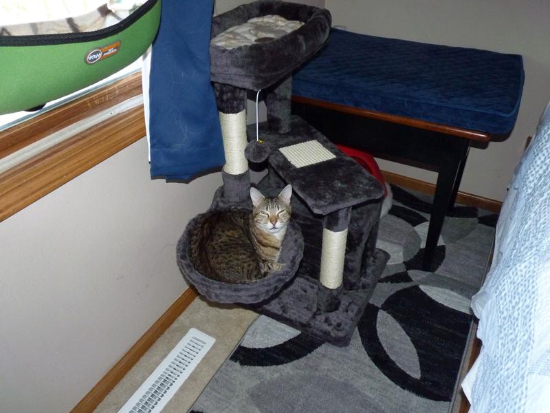 YAHEETECH 34.5-in Plush Cover Cat Tree, Light Gray - Chewy.com