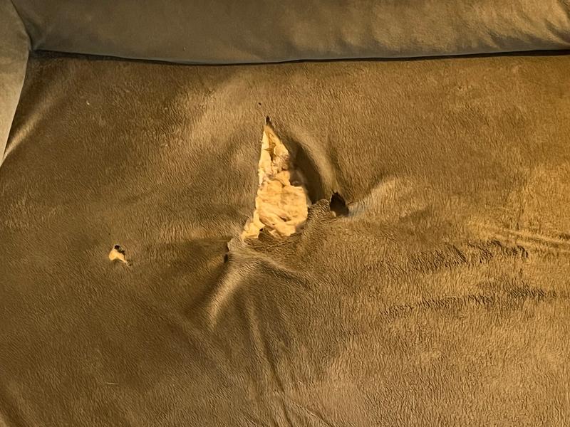 FURHAVEN Plush & Suede Full Support Orthopedic Sofa Dog & Cat Bed, Gray ...