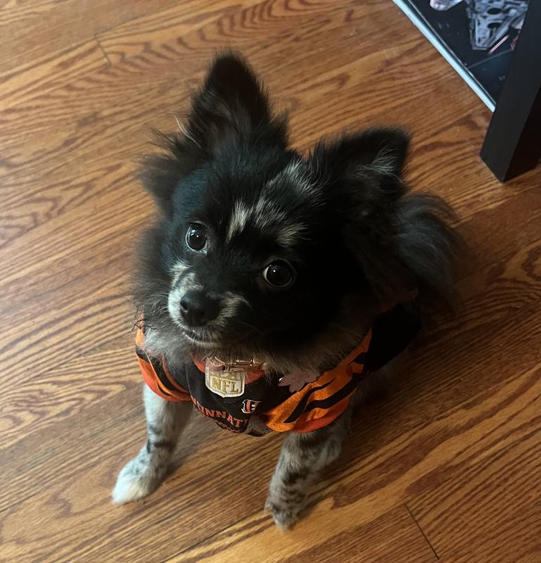 PETS FIRST NFL Dog & Cat Jersey, Kansas City Chiefs, Medium - Chewy.com