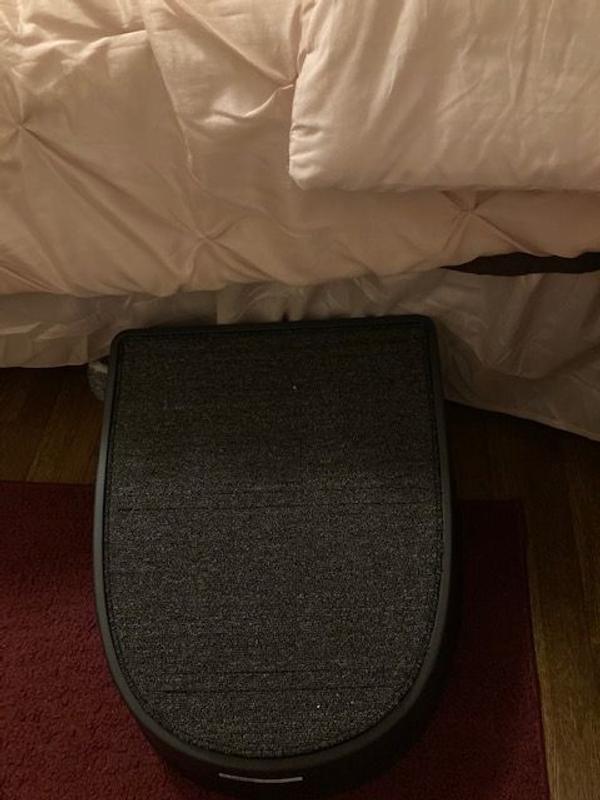 FRISCO Plastic Easy Step Cat & Dog Stair, Gray - Chewy.com