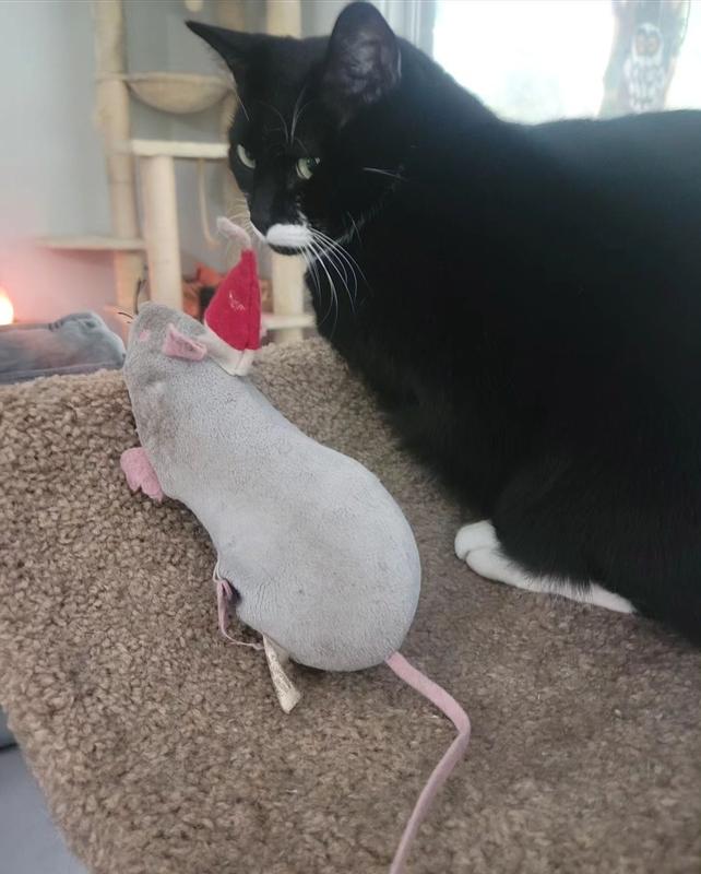 SMARTYKAT Rat Pack Kicker Cat Toy, Color Varies - Chewy.com