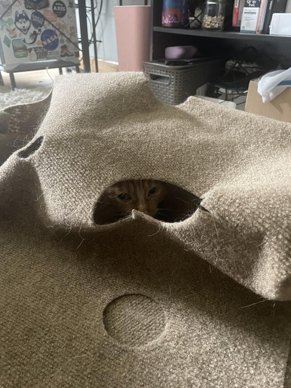 SNUGGLYCAT Ripple Rug Cat Activity Play Mat, Oatmeal White - Chewy.com