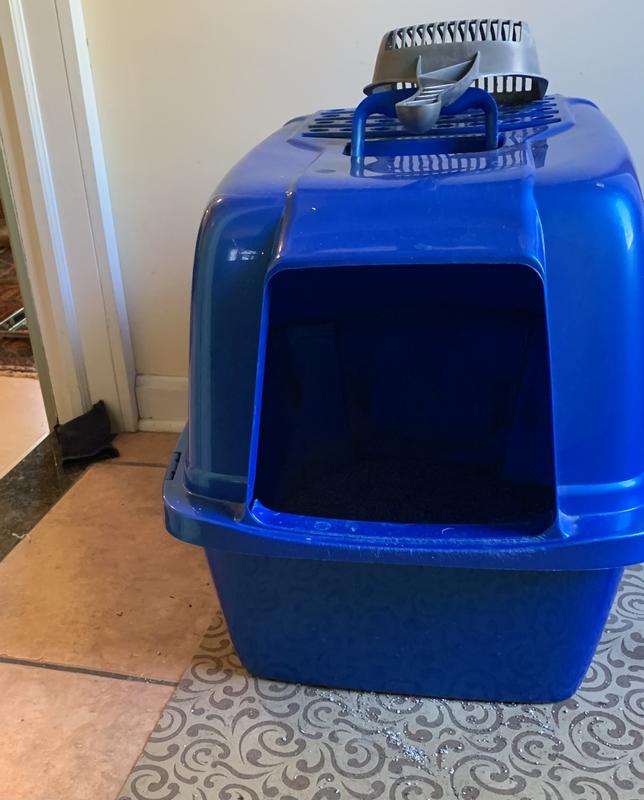 VAN NESS Enclosed Cat Litter Pan, X-Large Blue - Chewy.com