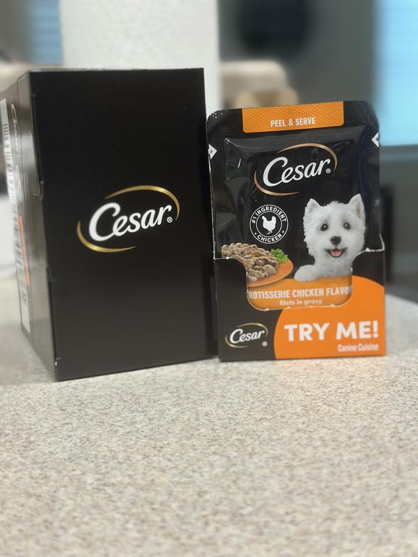 CESAR Rotisserie Chicken Flavor Filets in Gravy Wet Dog Food, 1.76-oz ...